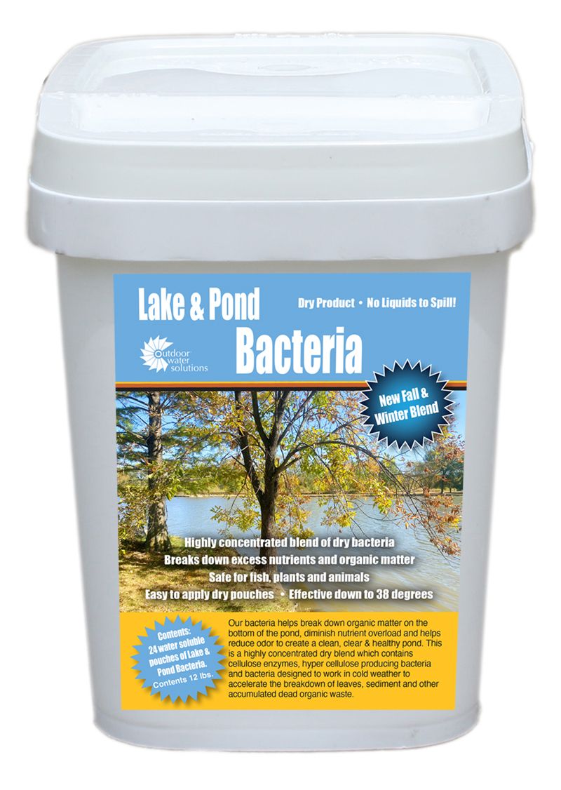 Beneficial Bacteria for Pond Sludge Remover | Fall / Winter – Outdoor ...